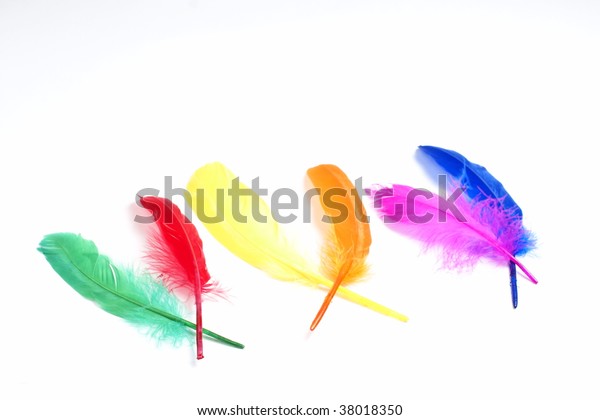 Multi Colored Feathers Stock Photo 38018350 | Shutterstock