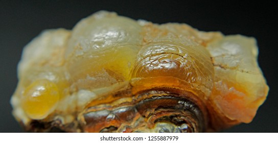 1,265 imágenes de Fire agate - Imágenes, fotos y vectores de stock ...