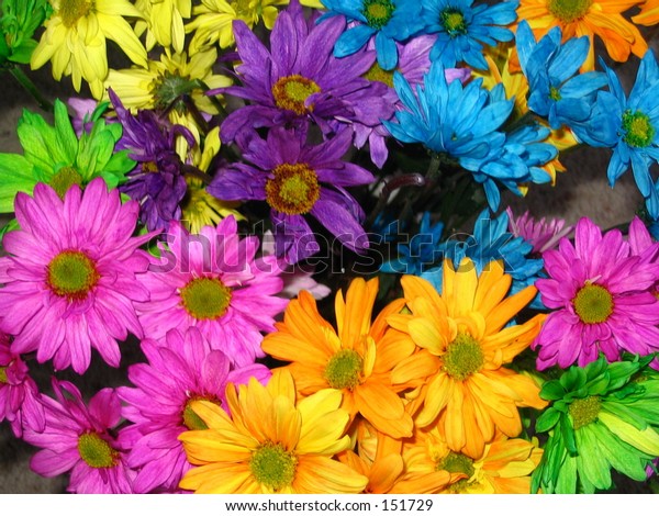 Multi Colored Flowers Stock Photo (Edit Now) 151729