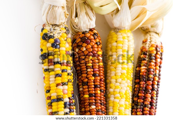 Multi Colored Indian Corn Made Thanksgiving Stock Photo 221331358 ...