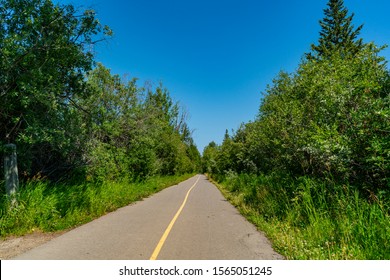 Multi Use Pathway Through Forest Landscape Stock Photo 1565051245 ...