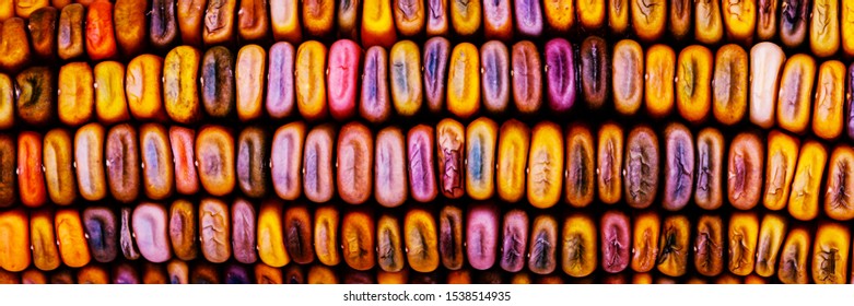 2,479 Multicolored Kernels Images, Stock Photos & Vectors | Shutterstock