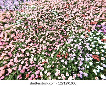 Multicolored Flower Background Stock Photo 1291291003 | Shutterstock