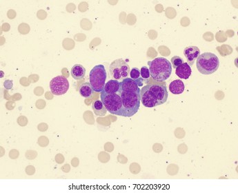 65 Multiple Nuclei Images, Stock Photos, 3D objects, & Vectors ...