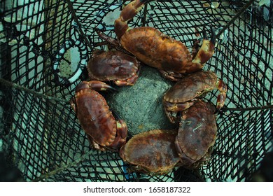 Stock Photo and Image Portfolio by 4ndr344 | Shutterstock