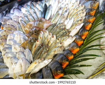 1,430 Cold storage fish Stock Photos, Images & Photography | Shutterstock
