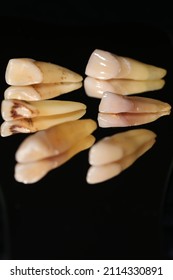 2,159 Multiple teeth Images, Stock Photos & Vectors | Shutterstock