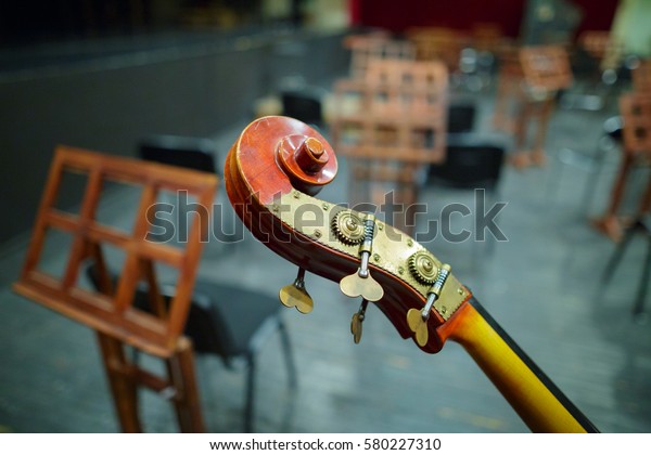 Musical Instruments Peg Box Scroll Double Stock Photo 580227310 ...