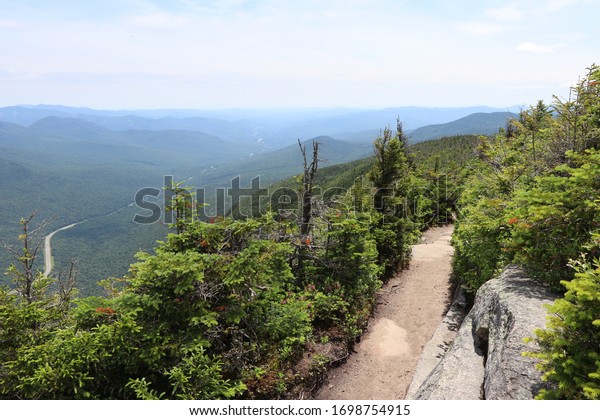 Narrow Hard Path Through Between Trees Stock Photo (Edit Now) 1698754915