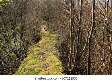 Narrow Path Stock Photo 607212530 | Shutterstock