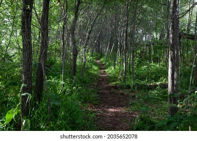 63,022 Shadow Trail Images, Stock Photos & Vectors | Shutterstock