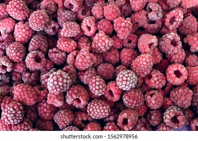 587 Native raspberry Images, Stock Photos & Vectors | Shutterstock