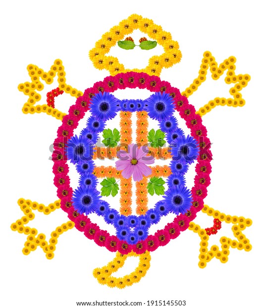 Native Symbol Turtle That Symbolizes Adaptability Stock Photo ...