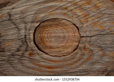 Natural Pattern Log Cut Surface Stock Photo 1552938704 | Shutterstock
