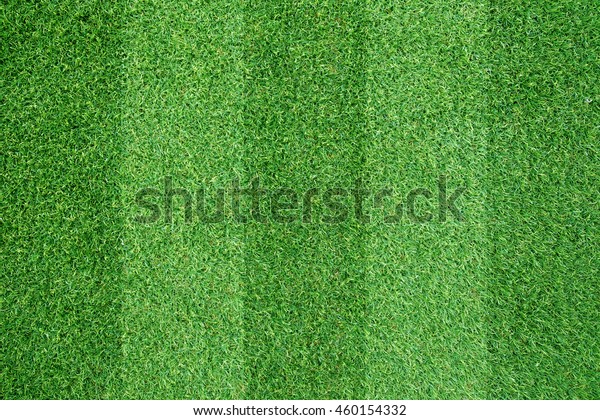 Natural Strip Grass Texture Patterned Background Stock Photo (Edit Now ...