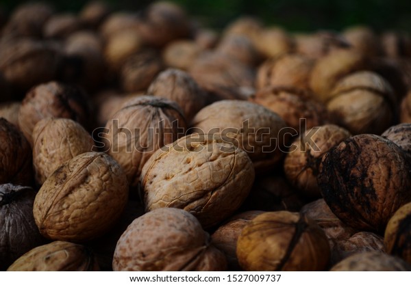 Natural Walnut Background Pattern Texture Abstract Stock Photo ...