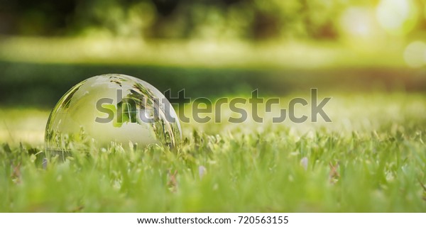 Nature Concept Stock Photo (Edit Now) 720563155