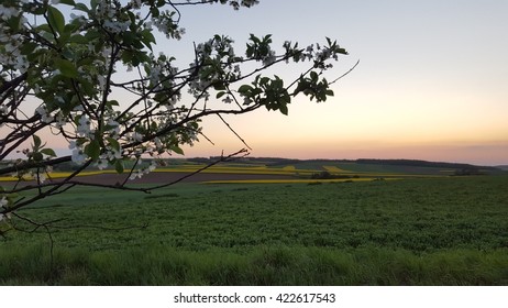 Thomas Lemberger: портфолио стоковых фотографий и изображений ...