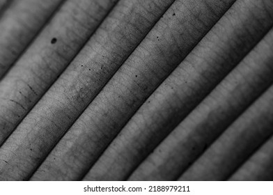 7,002 Parallel leaf Images, Stock Photos & Vectors | Shutterstock