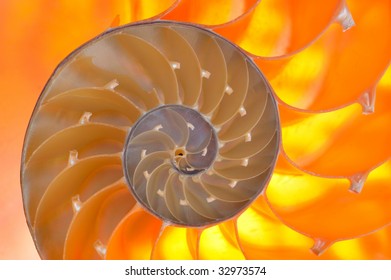 2,022 Mathematical patterns in nature Stock Photos, Images ...
