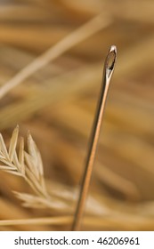 330 Searching for a needle in a haystack Stock Photos, Images ...