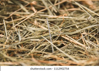 Needle Haystack Stock Photo 1112902754 | Shutterstock