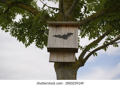 162 Microbat Images, Stock Photos & Vectors | Shutterstock
