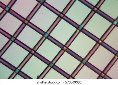 Net Polylactic Acid Under Microscope Polarized Stock Photo 570569383 ...