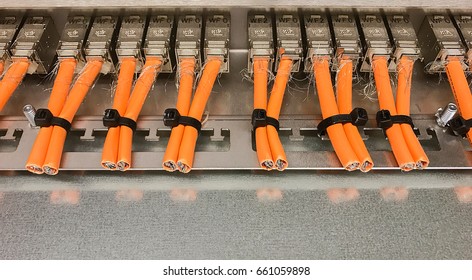 Network Cable Cut Stock Photo (Edit Now) 661059898