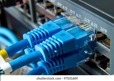 Network Cables Connecting Switch Stock Photo 782589 | Shutterstock