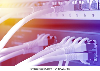 Network Cables Network Switch Patch Box Stock Photo 1439029766 ...