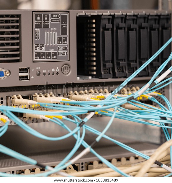 Network Switch Network Cable Fiber Optic Stock Photo 1853815489 ...