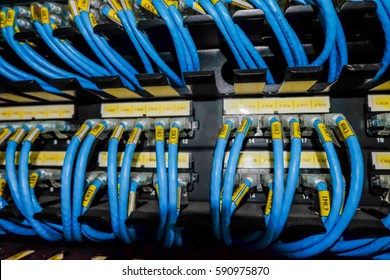 Стоковая фотография 1260105157: Rj45 Female Module Connector Utp Cat6 ...