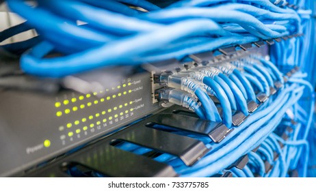 Network Switch Ethernet Cables Stock Photo 733775785 | Shutterstock