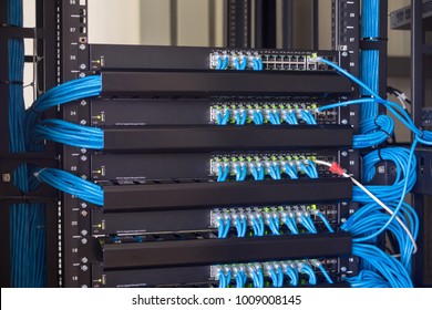 Network Switch Ethernet Cables Connected Stock Photo 1009008145 ...