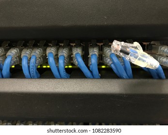 Network Switch Ethernet Cables Rack Cabinetutp Stock Photo 1082283590 ...