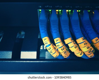 Network Switch Ethernet Cables Rack Cabinetutp Stock Photo (Edit Now ...