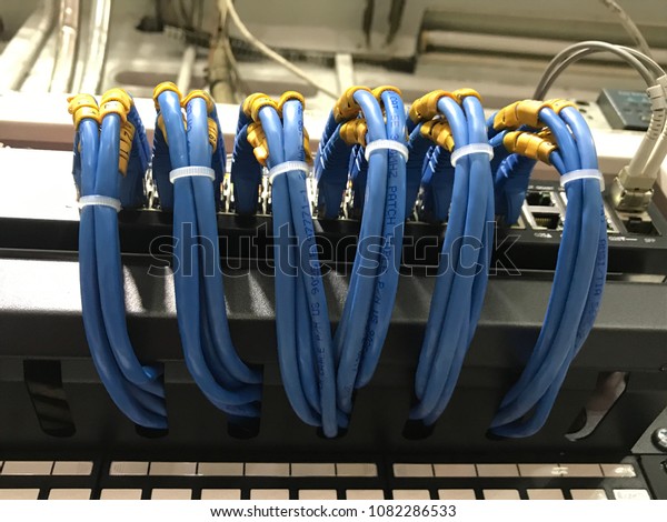 Network Switch Ethernet Cables Rack Cabinetutp Stock Photo 1082286533 ...