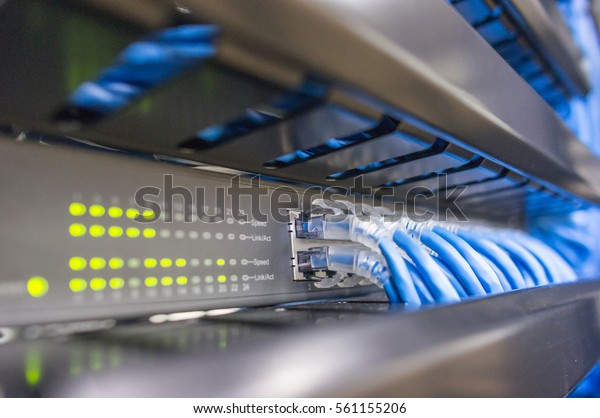 Network Switch Ethernet Cables Rack Cabinet Stock Photo (Edit Now ...