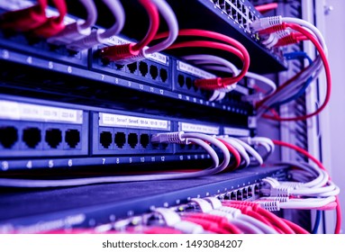 Network Switch Ethernet Cables Red White Stock Photo 1493084207 ...
