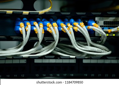Network Switch Ethernet Cablesdata Center Concept Foto stock 1184709850 ...
