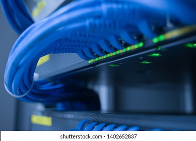 Network Switch Utp Cables Connected Stock Photo 1402652837 | Shutterstock
