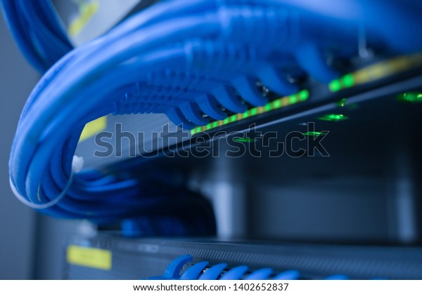 Network Switch Utp Cables Connected Stock Photo 1402652837 | Shutterstock
