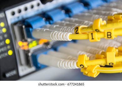 Network Switch Utp Ethernet Cables Stock Photo 677241865 | Shutterstock