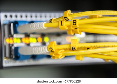 Network Switch Utp Ethernet Cables Stock Photo 677950228 | Shutterstock