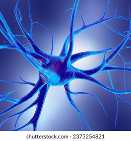 Neural Network Showcasing Sensory Neuron Interneuron AI-generated image 2366490207 | Shutterstock