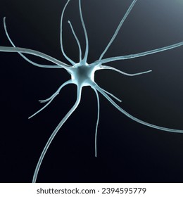 Neural Network Showcasing Sensory Neuron Interneuron AI-generated image 2366490207 | Shutterstock