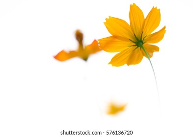 2,048 Never alone Images, Stock Photos & Vectors | Shutterstock