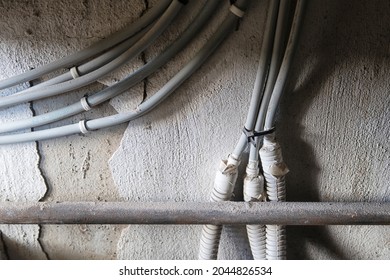New Electrical Installation Socket Electrical Cables Stock Photo (Edit ...