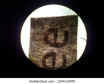 Stock Photo and Image Portfolio by MACP | Shutterstock